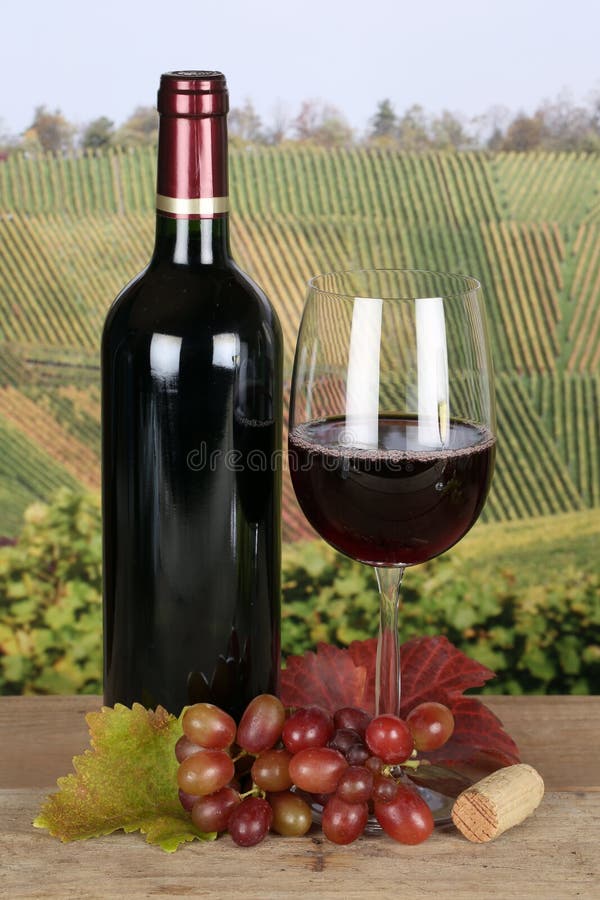 Vin Rouge Dans Une Bouteille Dans Les Vignobles Image stock - Image du ...