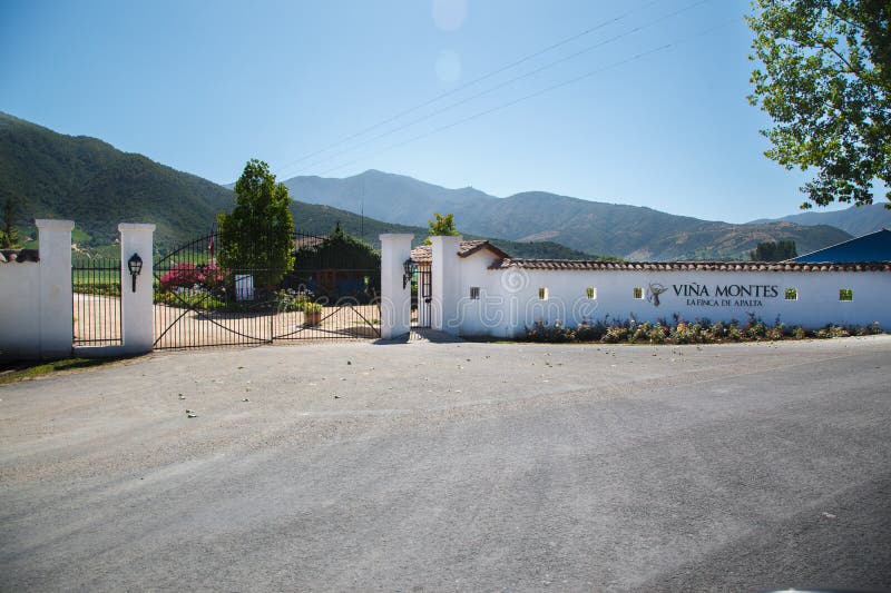 Vina Montes Typical Vineyard in Colchagua Valley, Chile Editorial Image ...