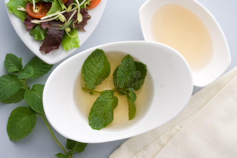 Vinaigrette Dressing with Mint Leaves. Stock Photo - Image of measuring ...