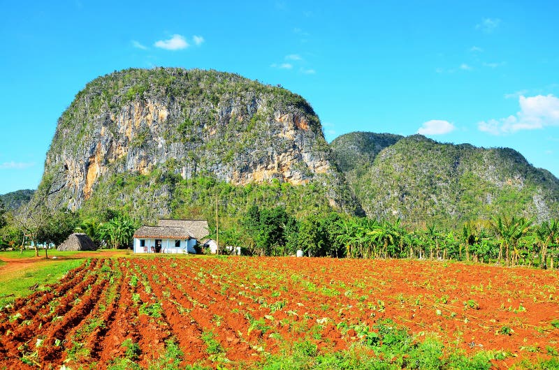 Vinales National Park, Cuba Stock Image - Image of heritage ...