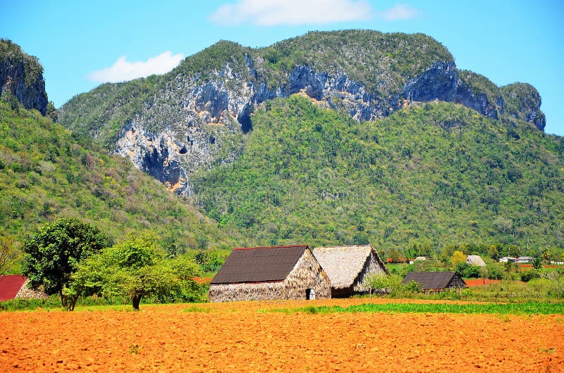 Malerische Landschafttal Vinales-Dorf Pinar Del Rio Cuba Latin Amerika ...