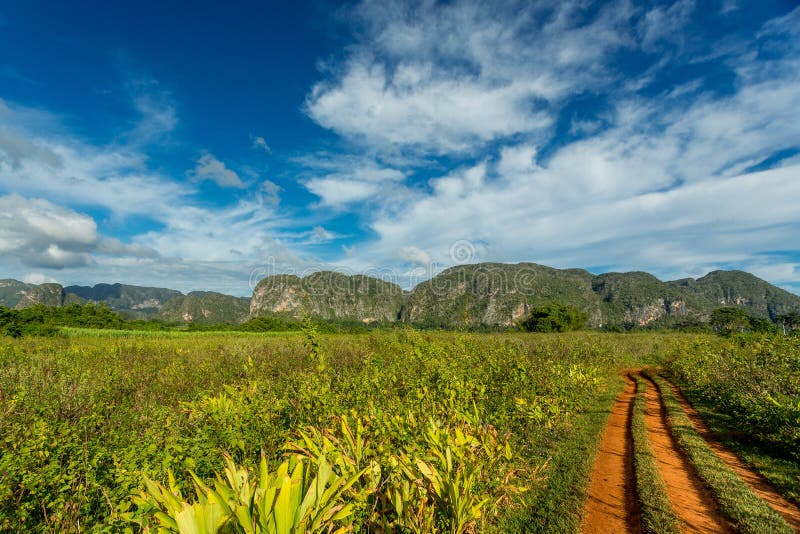 Vinales-Tal Bei Sonnenuntergang, Kuba Stockbild - Bild von szenisch ...