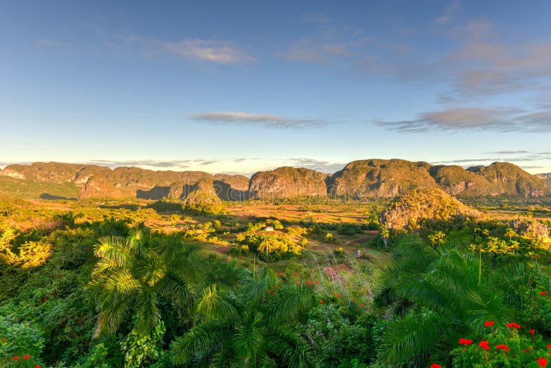 Vinales-Tal-Panorama - Kuba Stockfoto - Bild von bewirtschaften, grün ...