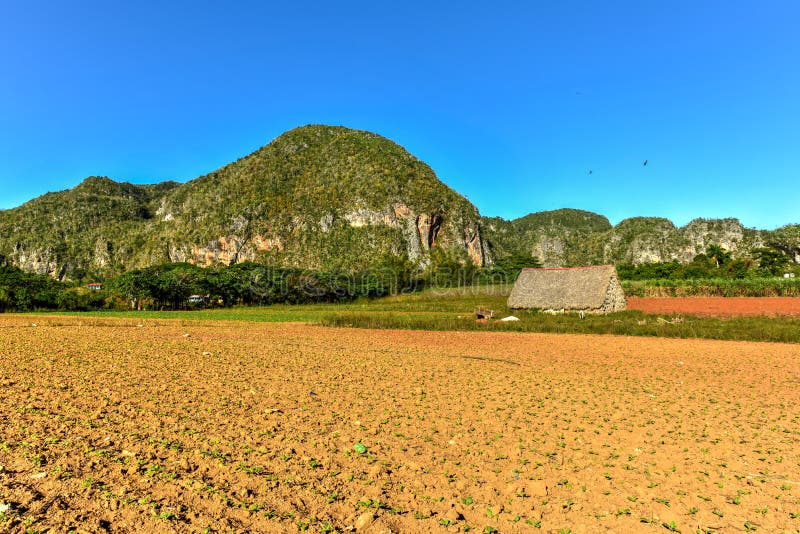 Vinales-Tal-Panorama - Kuba Stockfoto - Bild von bewirtschaften, grün ...