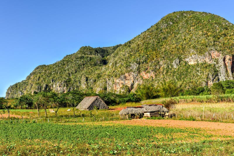 Vinales-Tal-Panorama - Kuba Stockfoto - Bild von bewirtschaften, grün ...