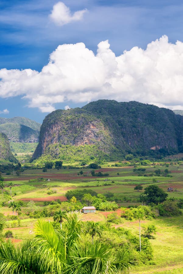 The Vinales valley in Cuba stock image. Image of outdoors - 40016349