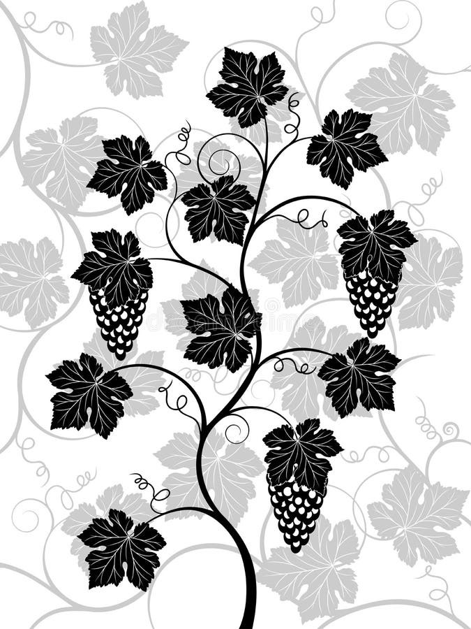 Black Vine Texture Stock Illustrations – 4,451 Black Vine Texture Stock ...