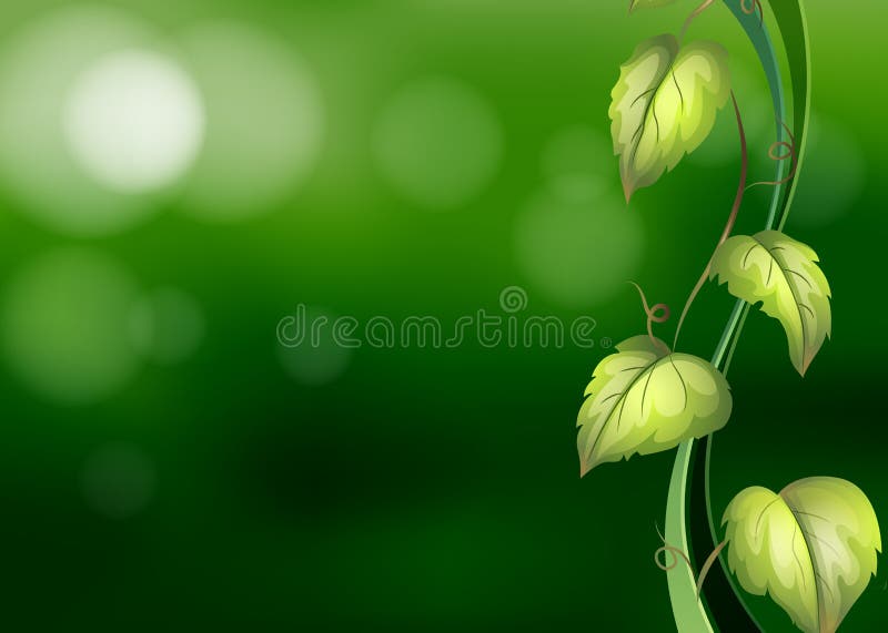 Vine background stock vector. Illustration of natural - 43722020