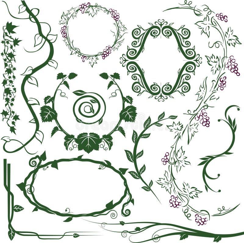 Vine Design