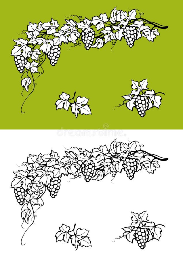 Vine and leaves, corner stock illustration. Illustration of nature ...