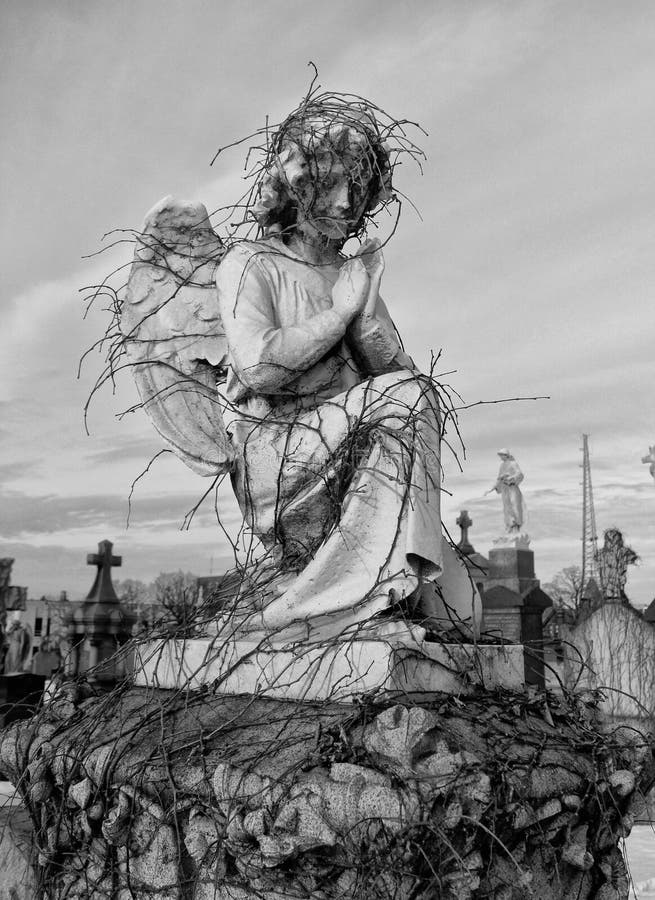 Vine Covered Statue stock image. Image of religion, belief - 19830967