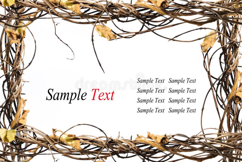 Vine frame isolated stock illustration. Illustration of grapes - 17768995