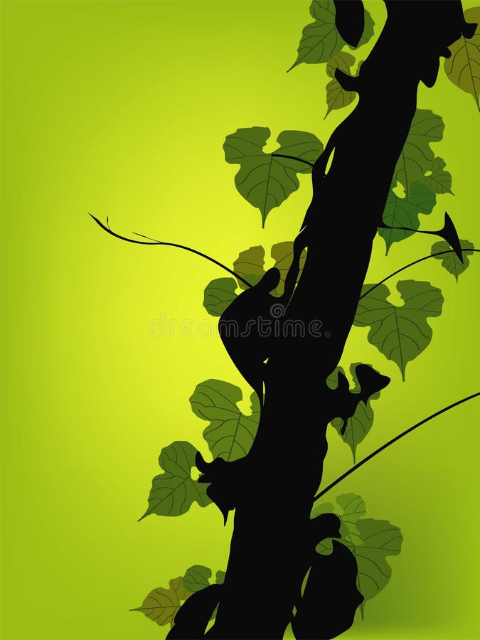 Vine Growing Tree Stock Illustrations – 807 Vine Growing Tree Stock ...