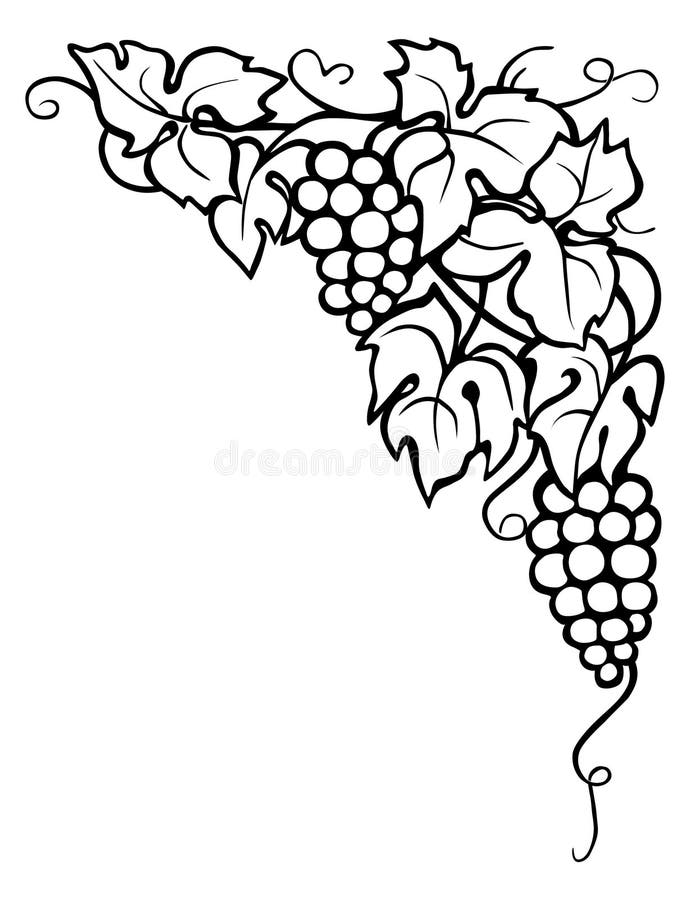 Vine and leaves, corner stock illustration. Illustration of nature ...