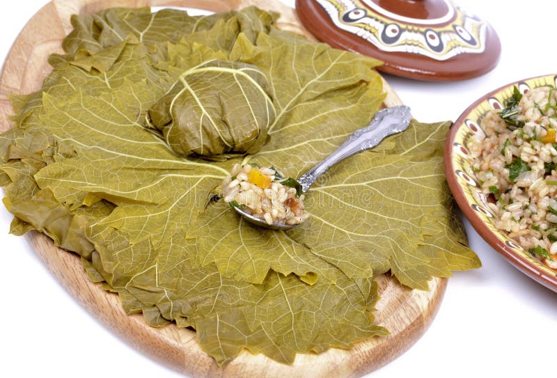 Vine leaves stuffed stock image. Image of dining, dill - 74632283