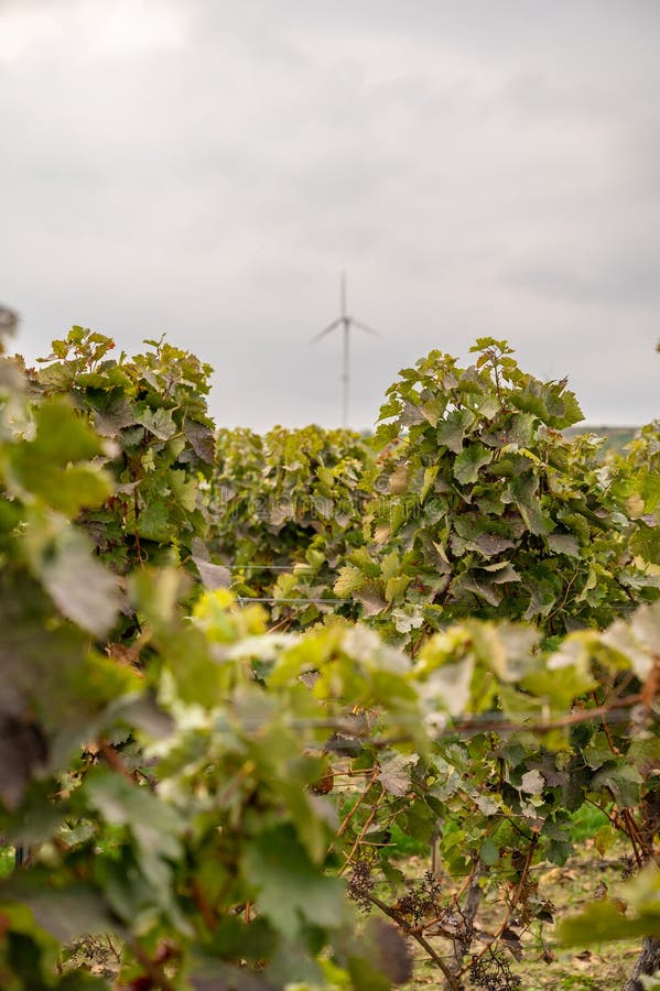 Wind Turbine Construction Site at Wind Park with Completed Wind ...