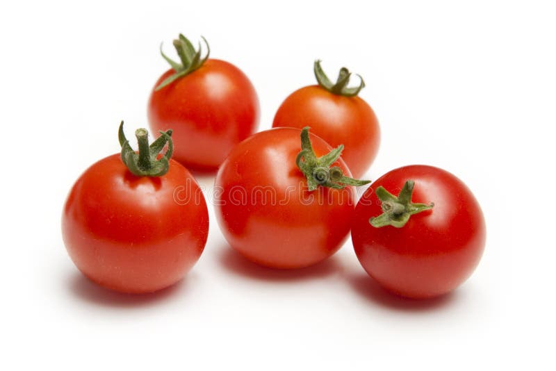 Willful tomato stock image. Image of commitment, isolated - 1764633 Willful tomato stock image. Image of commitment, isolated - 1764633