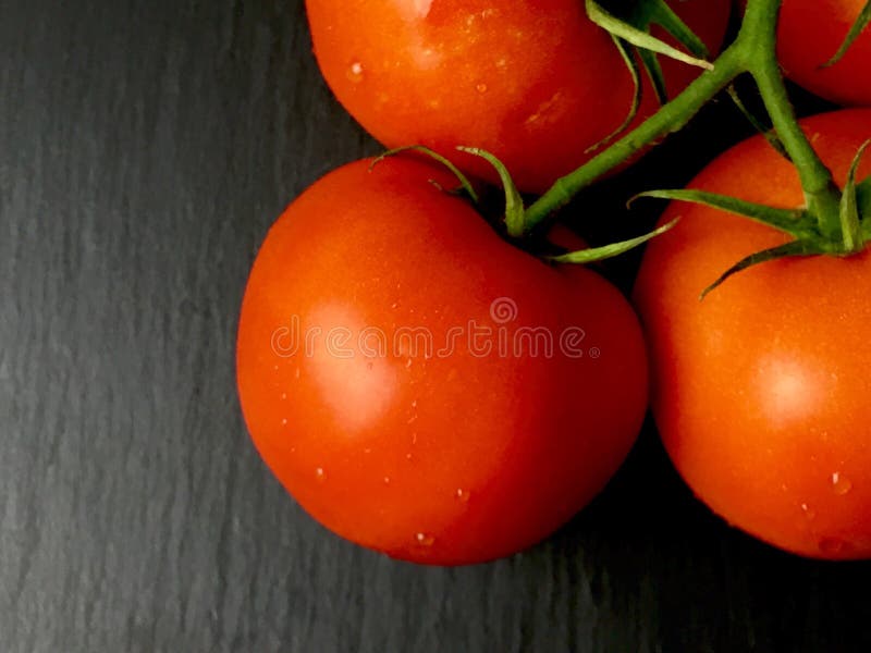 Vine ripened tomatoes stock photo. Image of vivid, vine - 79992836