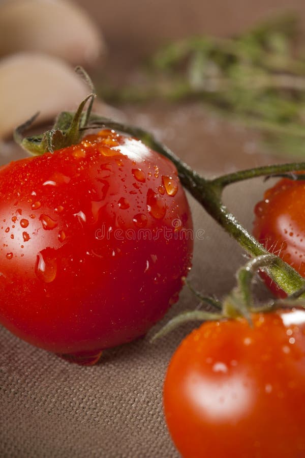Vine tomato stock image. Image of tomato, nutrition, vegetable - 56148285
