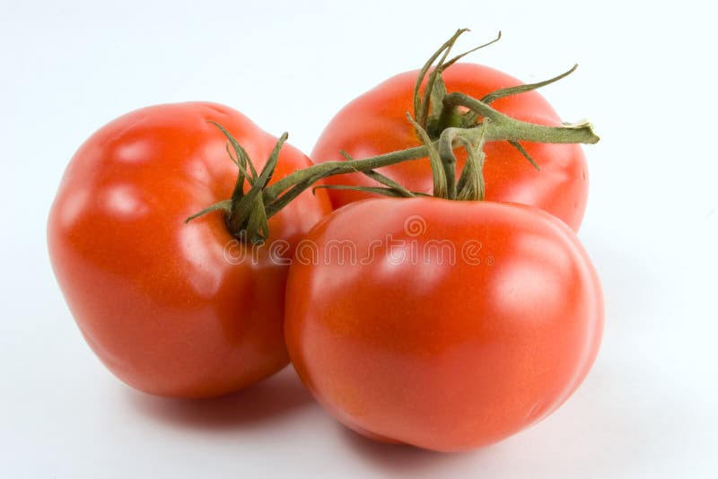 Big Red Vine Ripened Tomato Stock Image - Image of nourishing, fresh ...