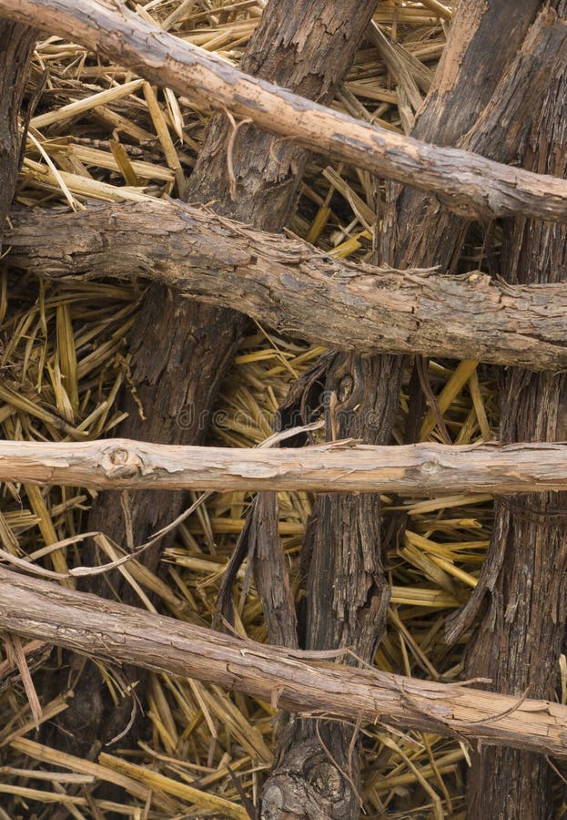 989 Grape Vine Trunk Stock Photos - Free & Royalty-Free Stock Photos ...