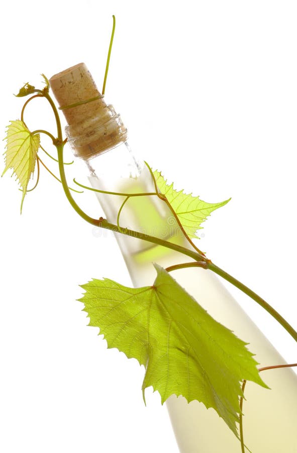 Vined neck stock image. Image of corkage, neck, alcohol - 3255293