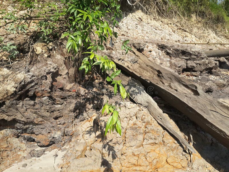 Vines and River stock photo. Image of farming, land, vigneron - 499336