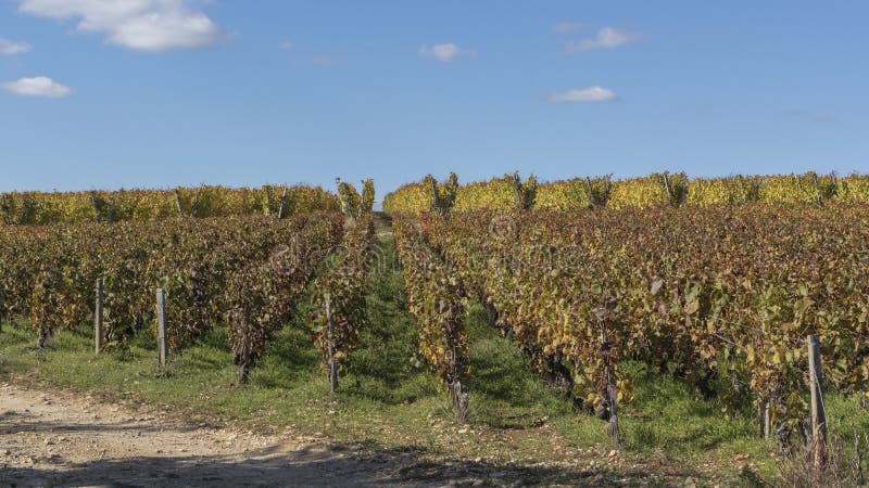 Lyre System Stock Photos - Free & Royalty-Free Stock Photos from Dreamstime