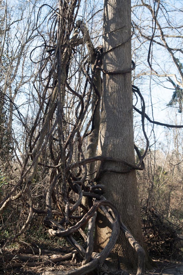 James River Park System Stock Photos - Free & Royalty-Free Stock Photos ...