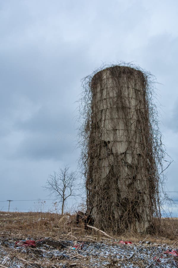 Barren Tree Standing Alone in a Snow Covered Field during a Snow Storm ...
