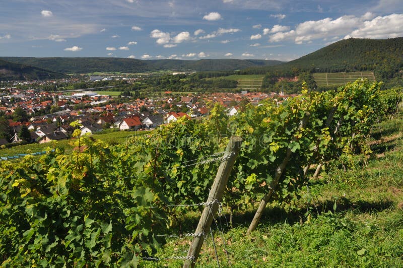 The Wachenburg In Historical Town Weinheim, Germany Editorial Stock ...