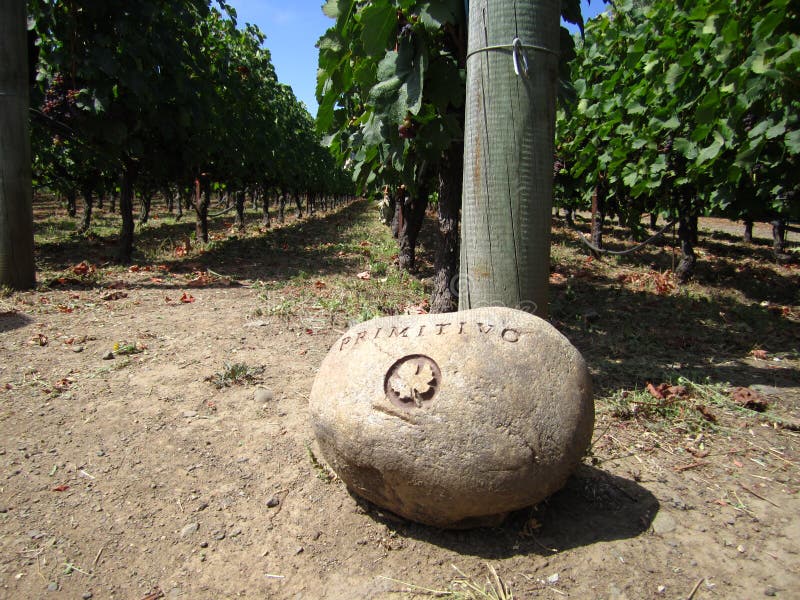 Pinot noir sign stock photo. Image of varietal, name, pinot - 1159326