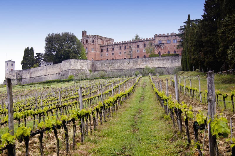 Vineyard and castle stock image. Image of greve, ricasoli - 19355107