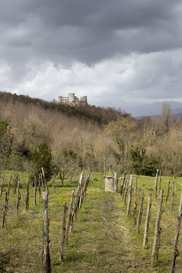 Vineyard and castle stock image. Image of medieval, castle - 92453085