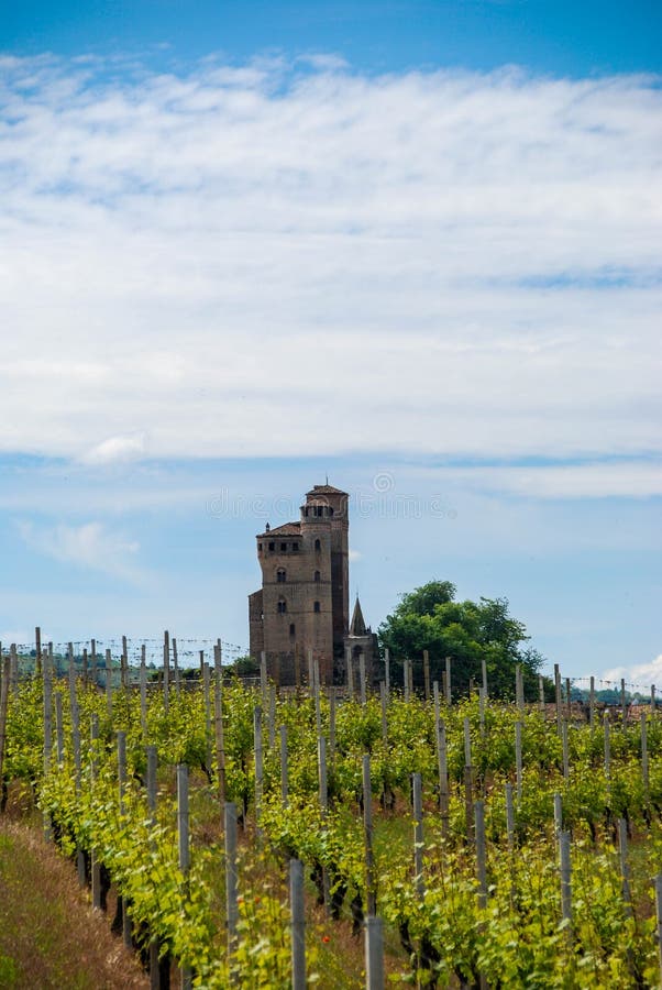 Vineyard with Castle stock photo. Image of scene, outdoors - 91272382