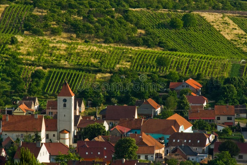 Vineyard country of Palava stock photo. Image of garden - 13774406