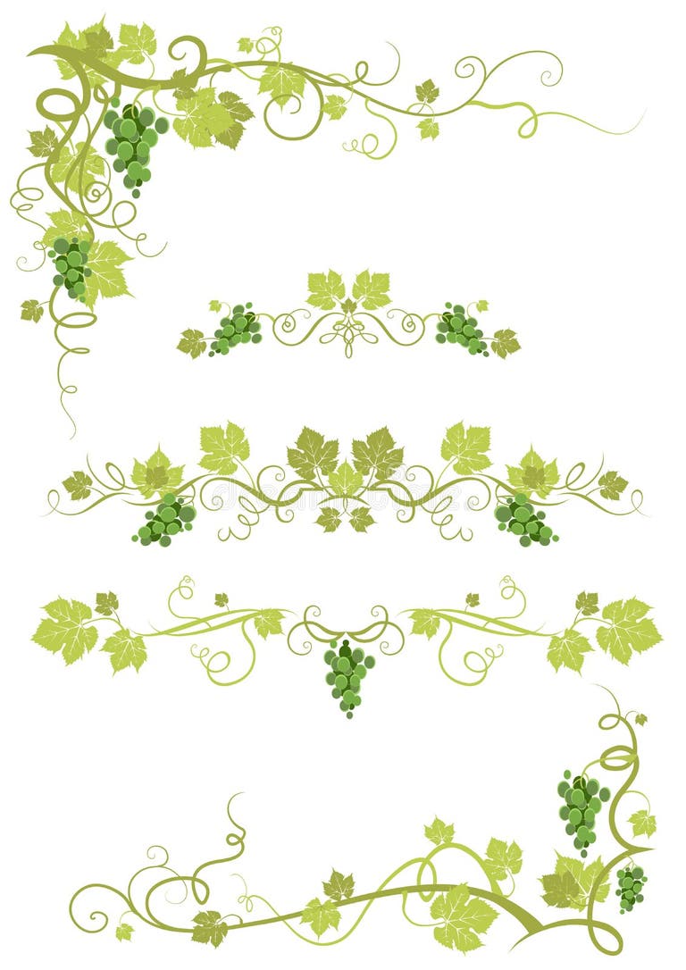 Vineyard Line Border Stock Illustrations – 120 Vineyard Line Border ...