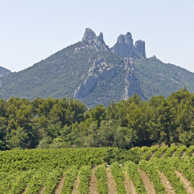 Old barn in Provence stock photo. Image of tree, farming - 3554216