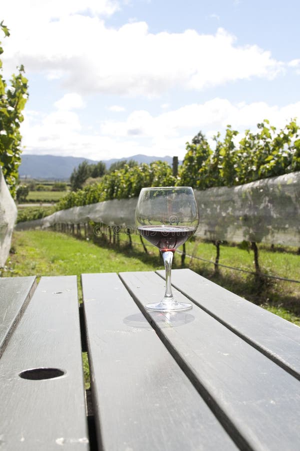 Vineyard with Glass of Red Wine Stock Photo - Image of alcohol, summer ...