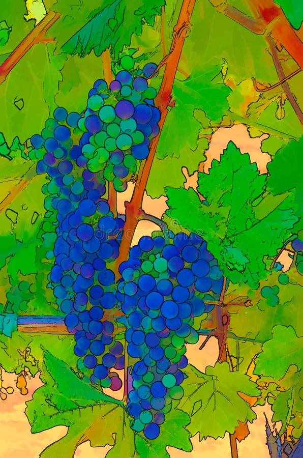 Vineyard Grapes Abstract stock illustration. Illustration of alcoholic ...