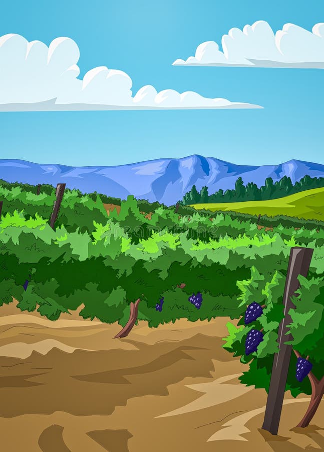 The Vineyard on the Hill 2d Illustration. Stock Image - Image of ...