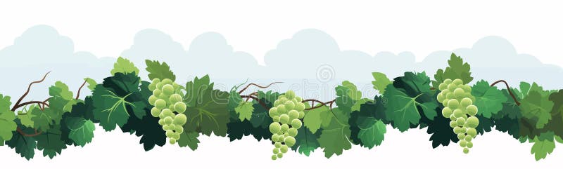 Vineyard Isolated Vector Style Illustration Stock Vector - Illustration ...
