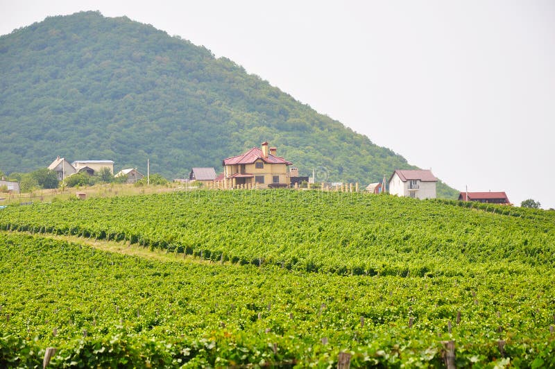 Vineyard Ramp Built with Rough Stones Stock Image - Image of koblenz ...