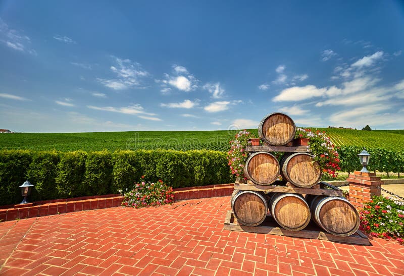 Vineyard Landscape with Wine Barrels Stock Photo - Image of wine ...