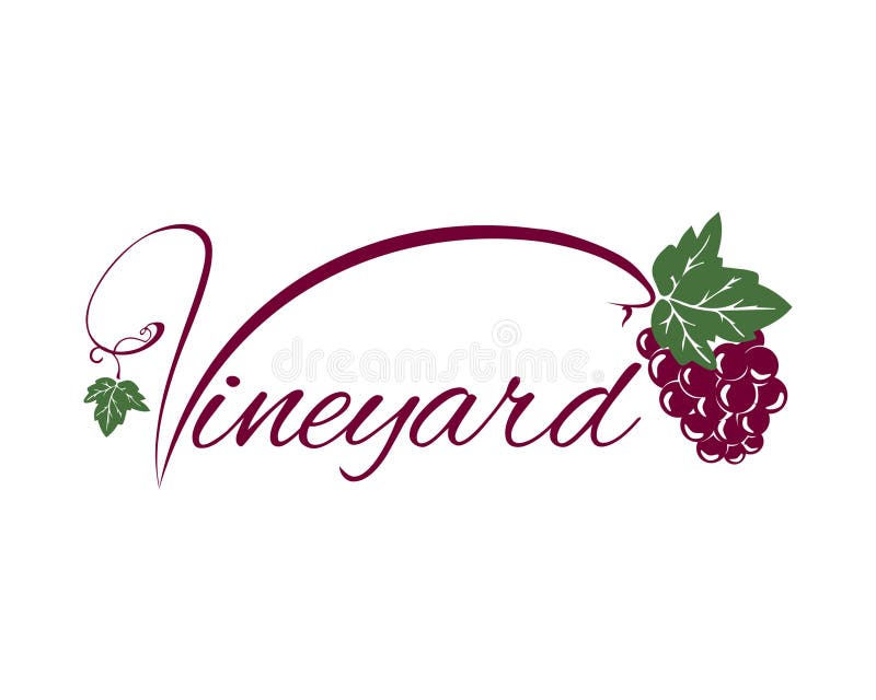 Vineyard Logo Vector Illustration Grappes Stock Vector - Illustration ...