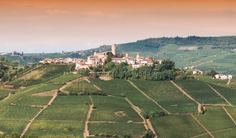 Medieval Castle and Vineyard Stock Image - Image of italy, green: 76526311