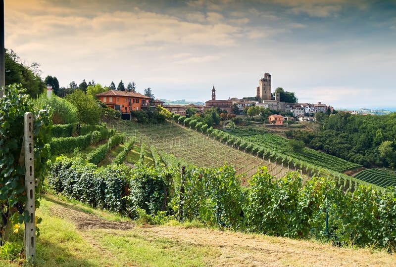 Vineyard in medieval town stock photo. Image of farmhouse - 76526336