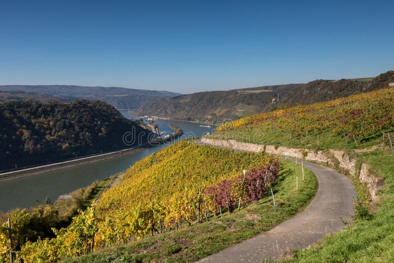 Vineyard Over the Rhine Valley Stock Image - Image of mittelrhein ...