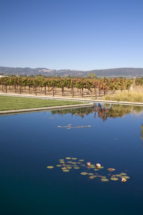 Wine Country, Temecula, Southern California Stock Image - Image of wine ...