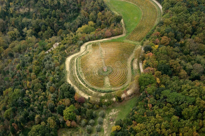 Vineyard round stock photo. Image of biome, forest, italy - 62343684